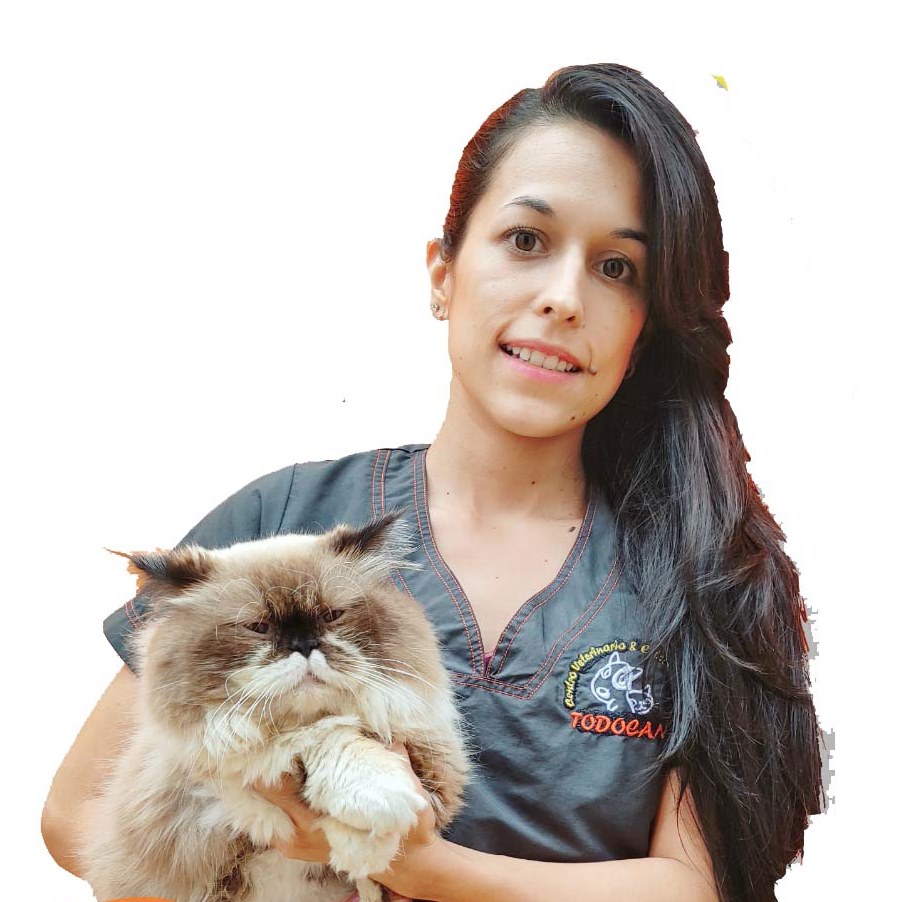 TodoCan Veterinaria en Palmira